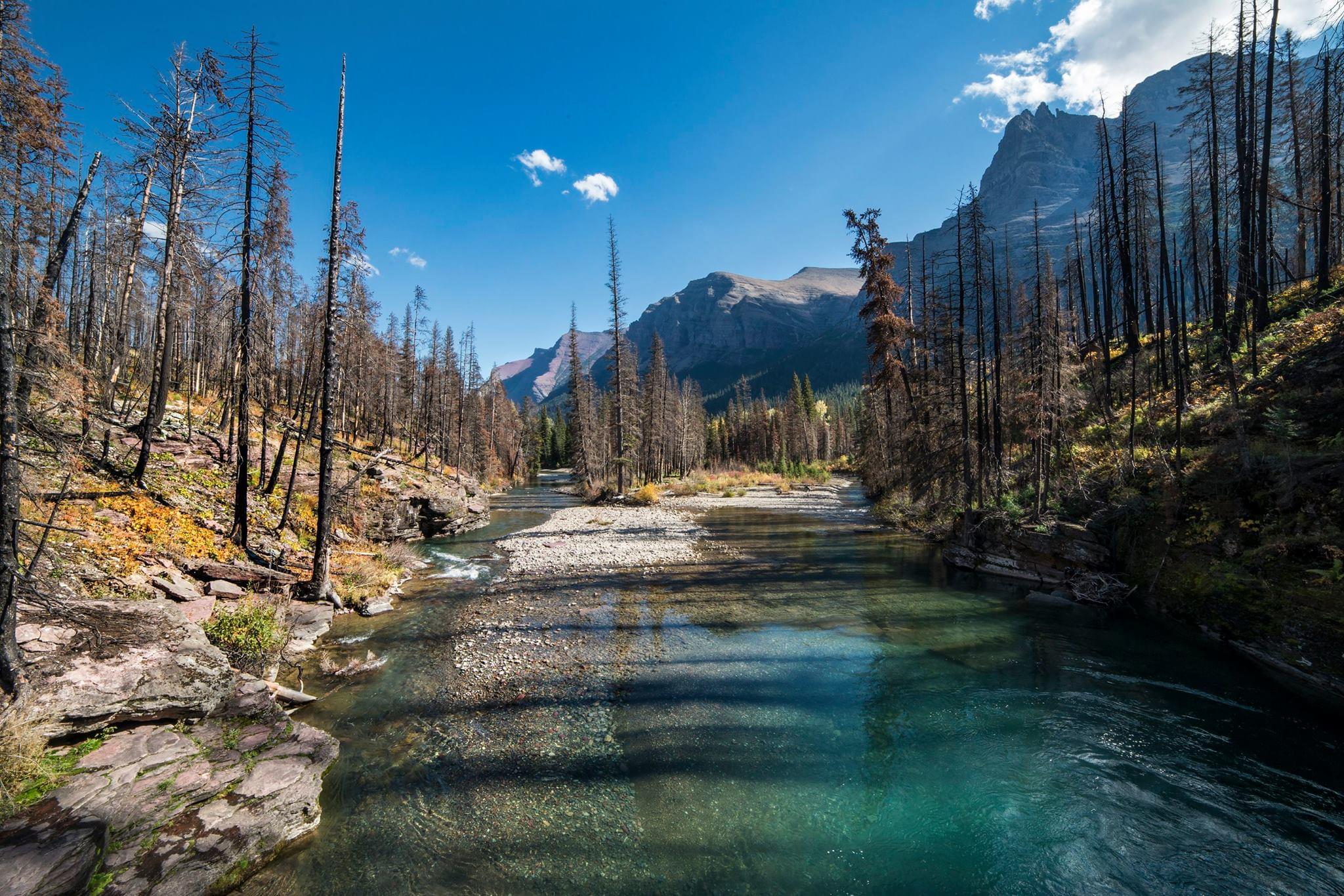 画像1枚目： アメリカ旅行で行くべき国立公園おすすめ5選！アメリカの大自然が創り出す絶景！｜ TapTrip